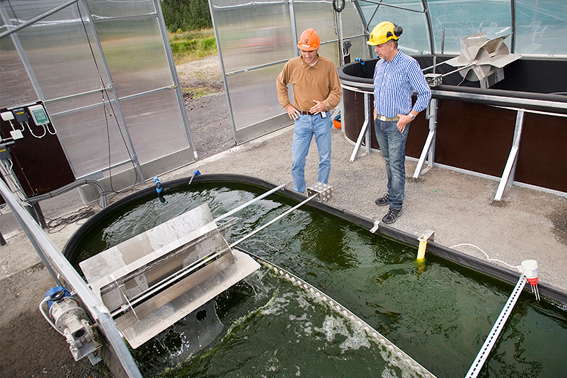 North Sweden Cleantech - Francesco’s algae farm stops the algal bloom