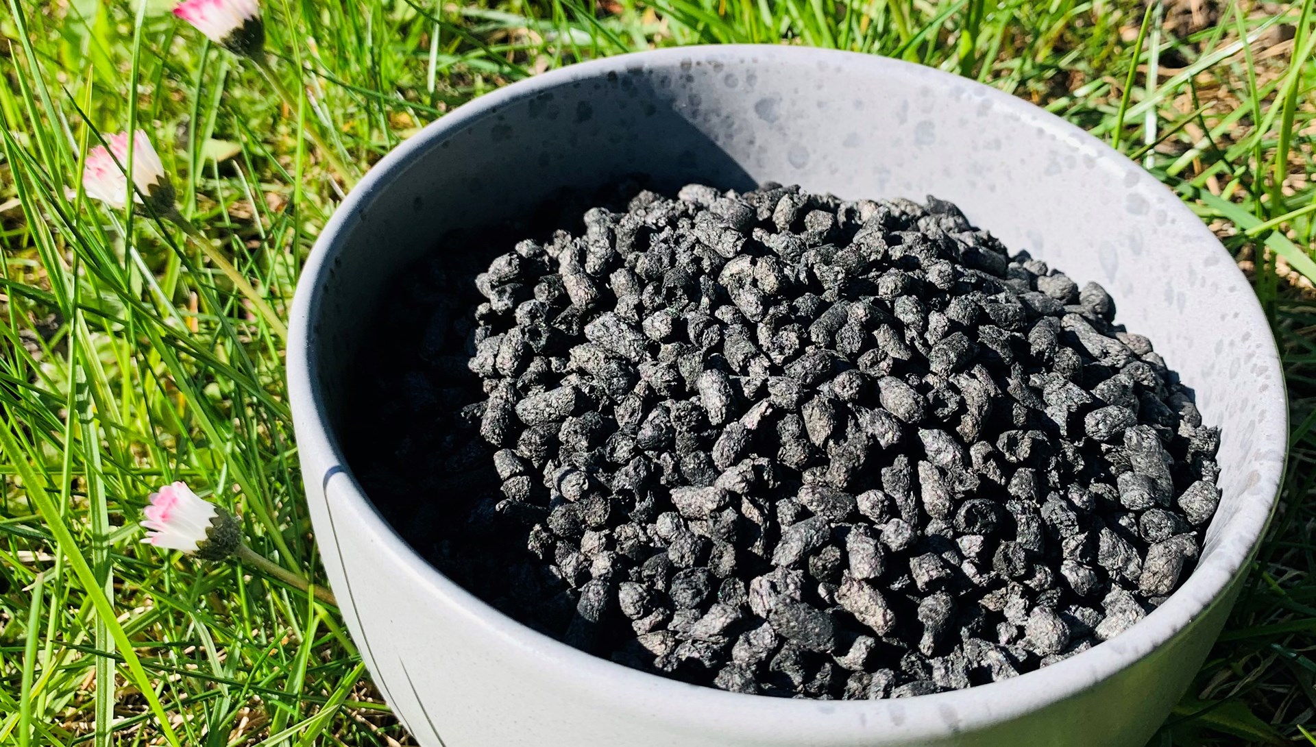 North Sweden Cleantech - Envigas biochar can save Swedish steel industry